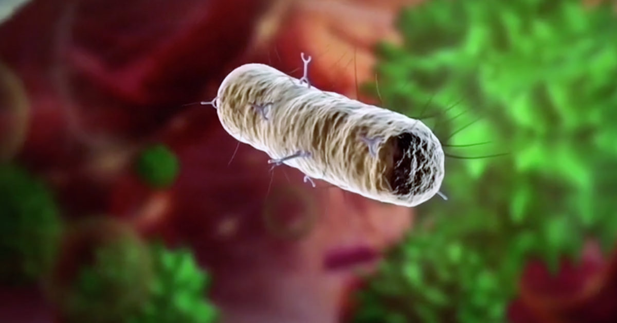 Mecanismo de acción del Inmunomodulador OM-85.